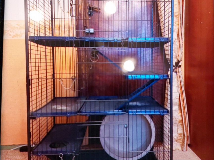 Клетка для грызунов очень большая