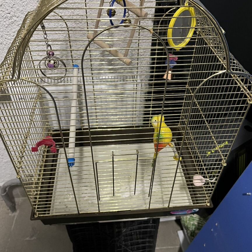 Большая клетка для птиц