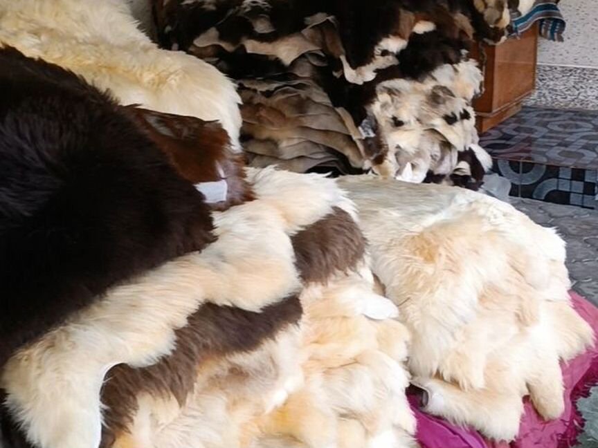 Натуральные овечьи шкуры овчина козьи шкуры