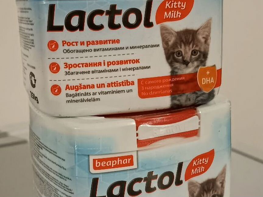 Корм для котят