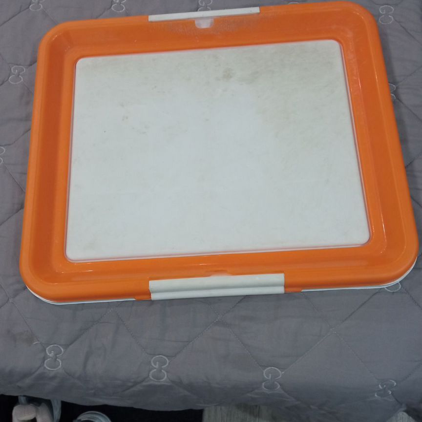 Лоток для собак