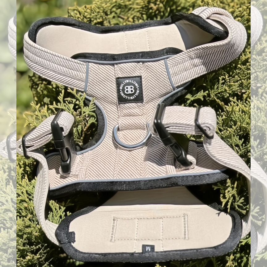 Шлейка для собак BullyBillows