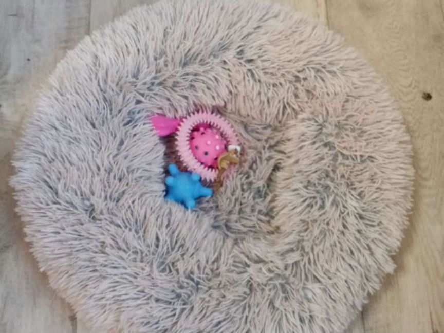 Лежак для собаки