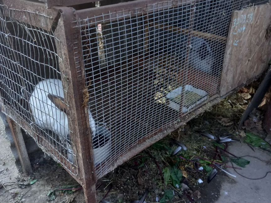 Клетка для грызунов