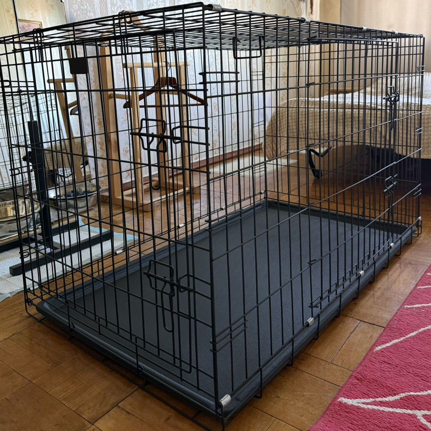 Клетка номер 6