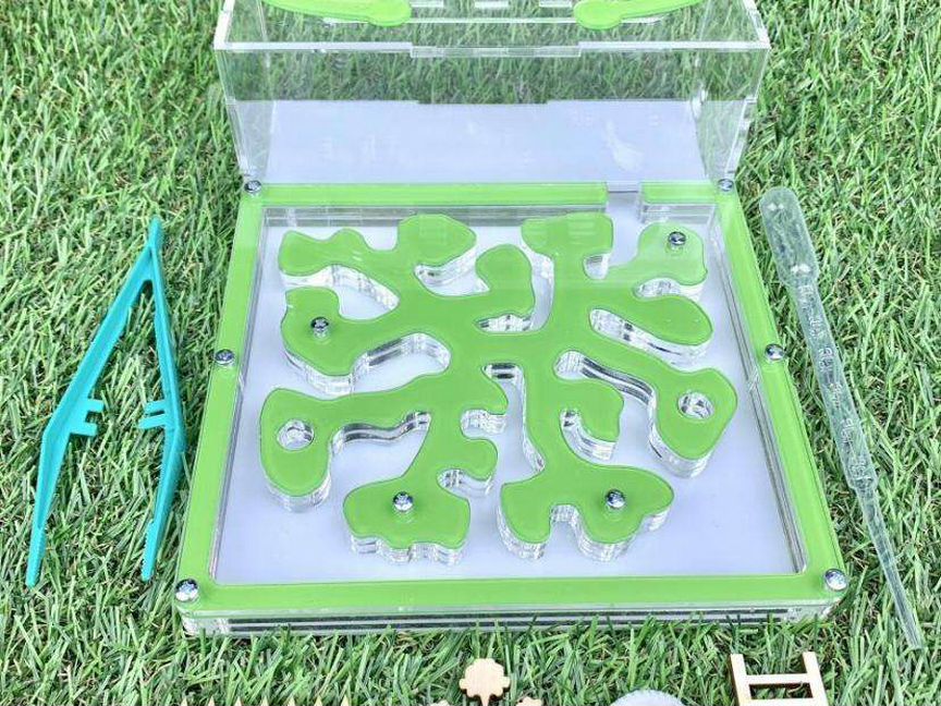 Муравьиная ферма