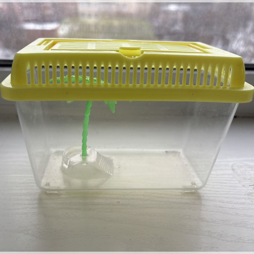 Террариум для рептилий бу