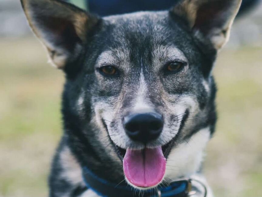 Скромная Габи ищет маму