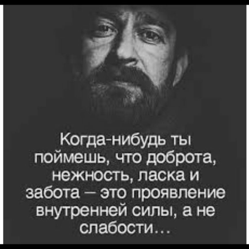 Щенки
