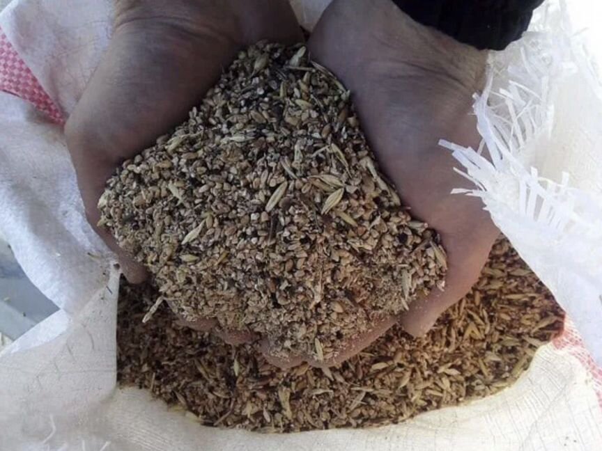 Зерноотходы