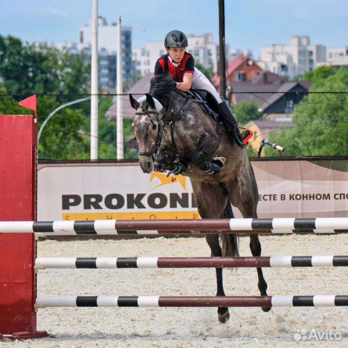 Молодая кобыла в спорт