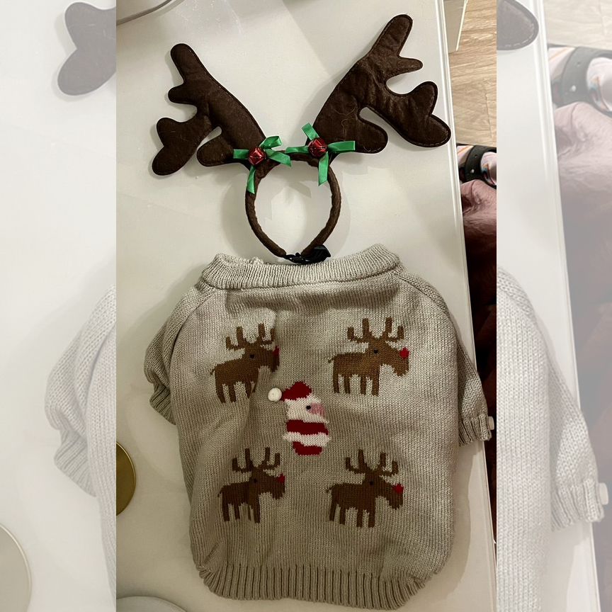 Новогодний костюм для собак средних пород