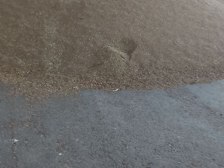 Отходы льна