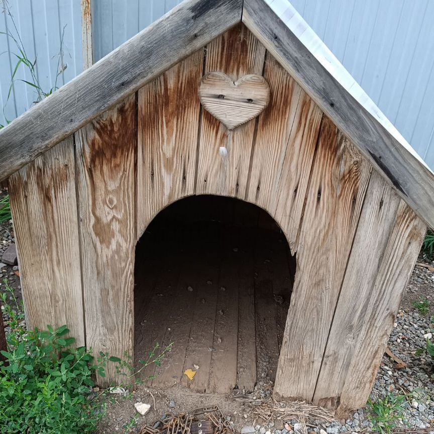 Будка для большой собаки бу