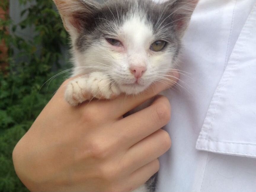 Потрясающая девчуля в дар