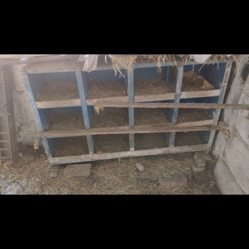 Гнездо для кур