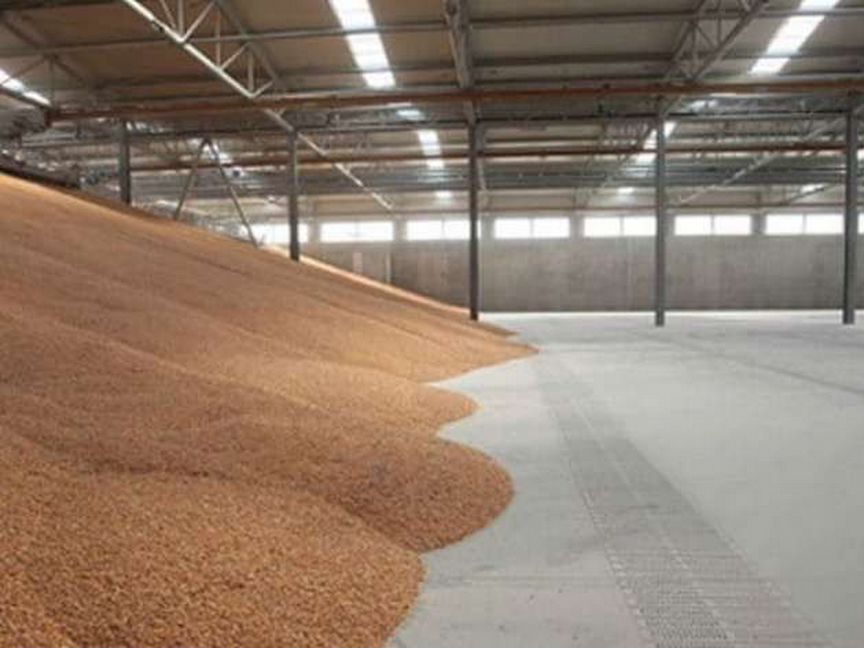 Пшеница, Рожь, Ячмень 2023г