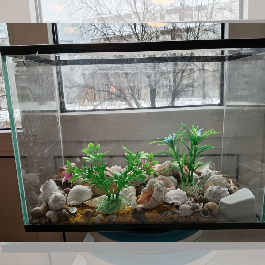 Аквариумные для рыбок