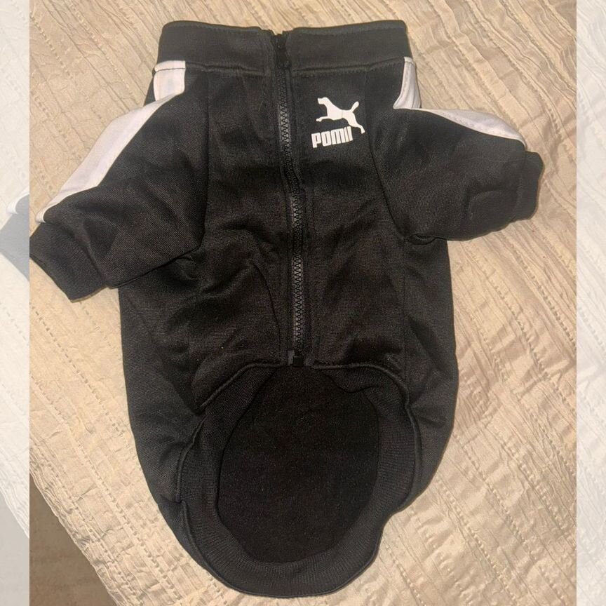 Одежда для маленьких собак L