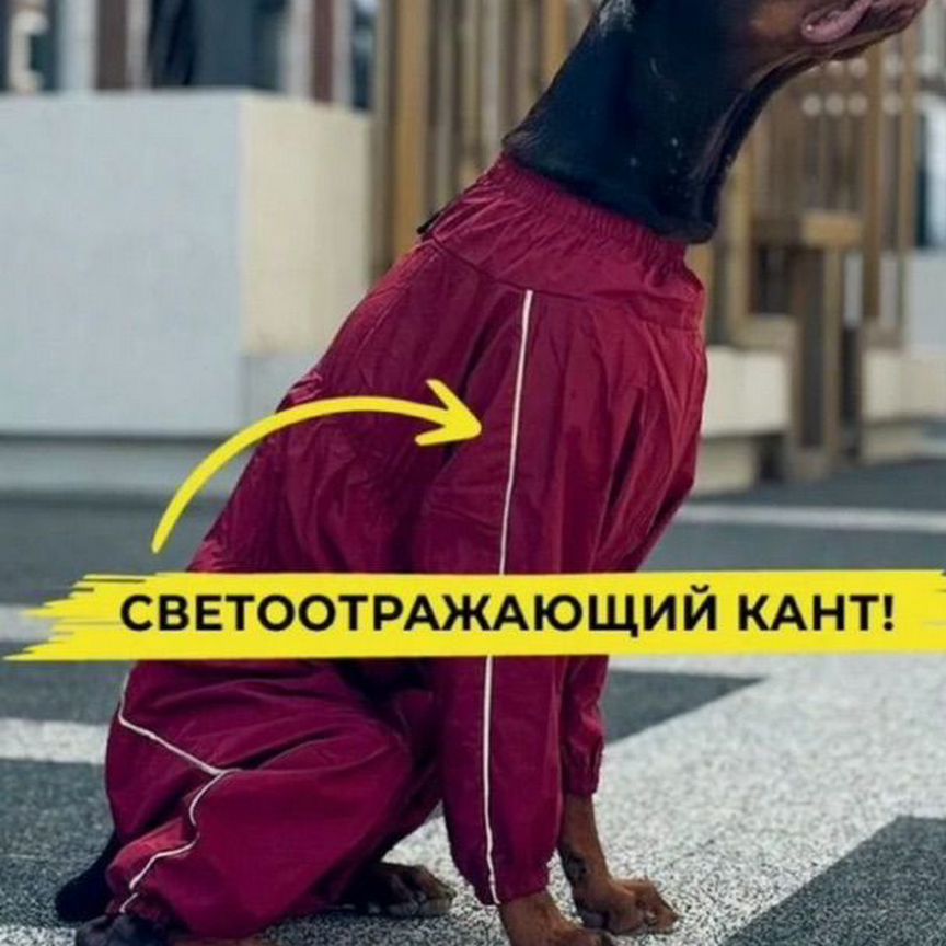 Комбинезон для собак средних пород (Девочка)