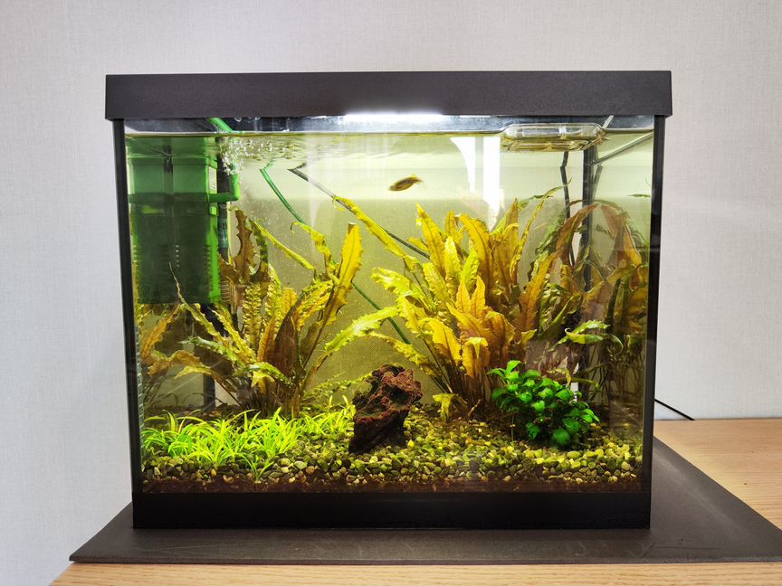 Аквариум Aquael 35 литров 41х25х35 см