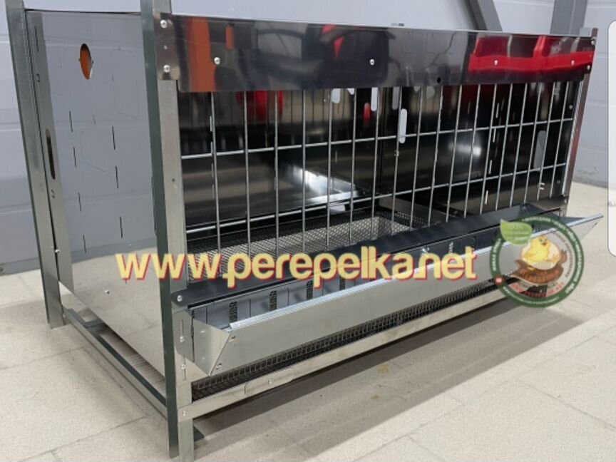 Брудер для молодняка идеал 1000