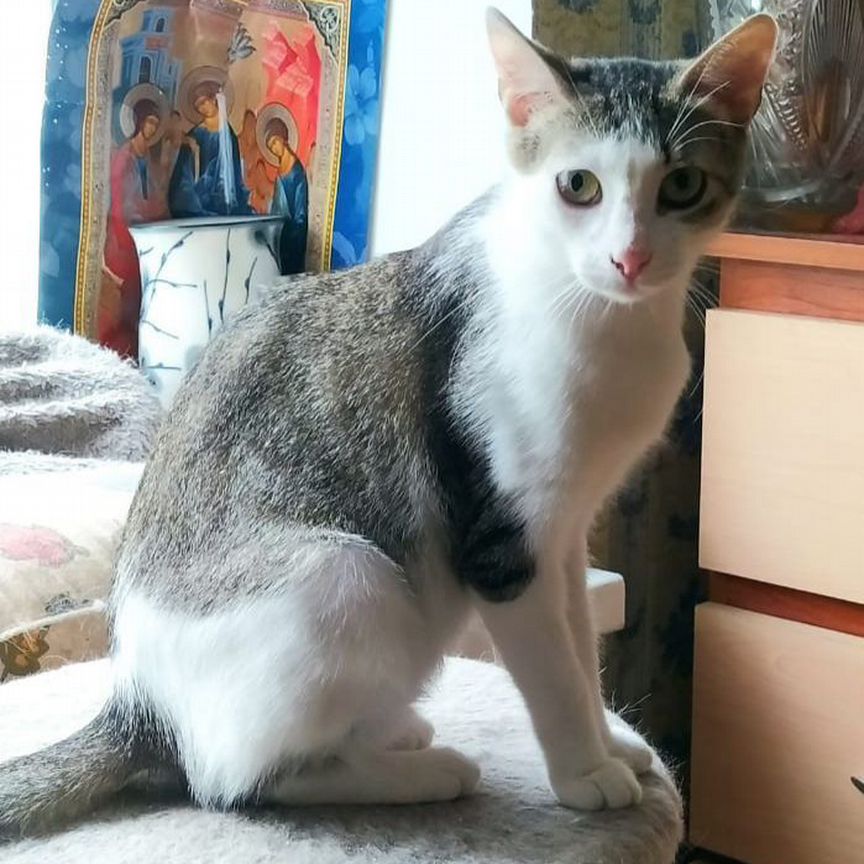 Мартина