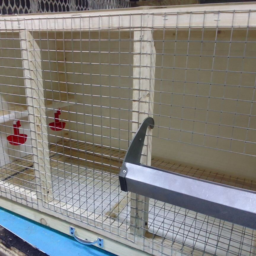 Клетки для несушек, бройлеров, молодняка птиц