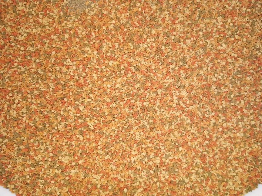 Тетра мин гранулы корм для рыбок