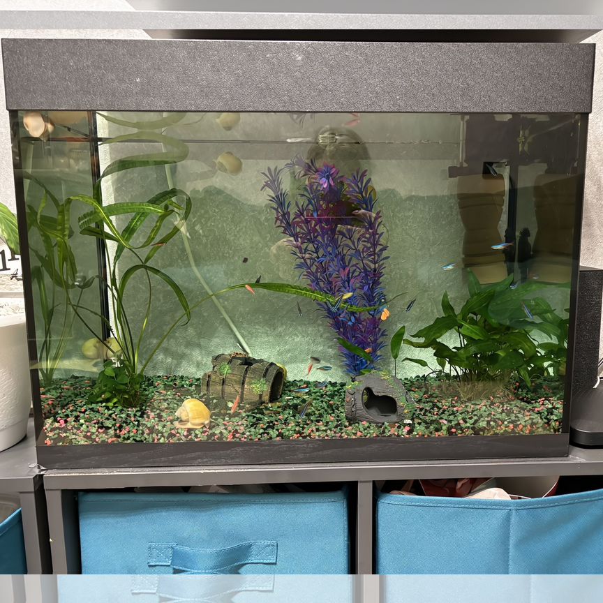 Аквариум с рыбками