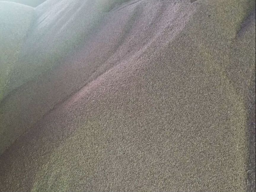 Семечко, Фуражный горох на корм/посев