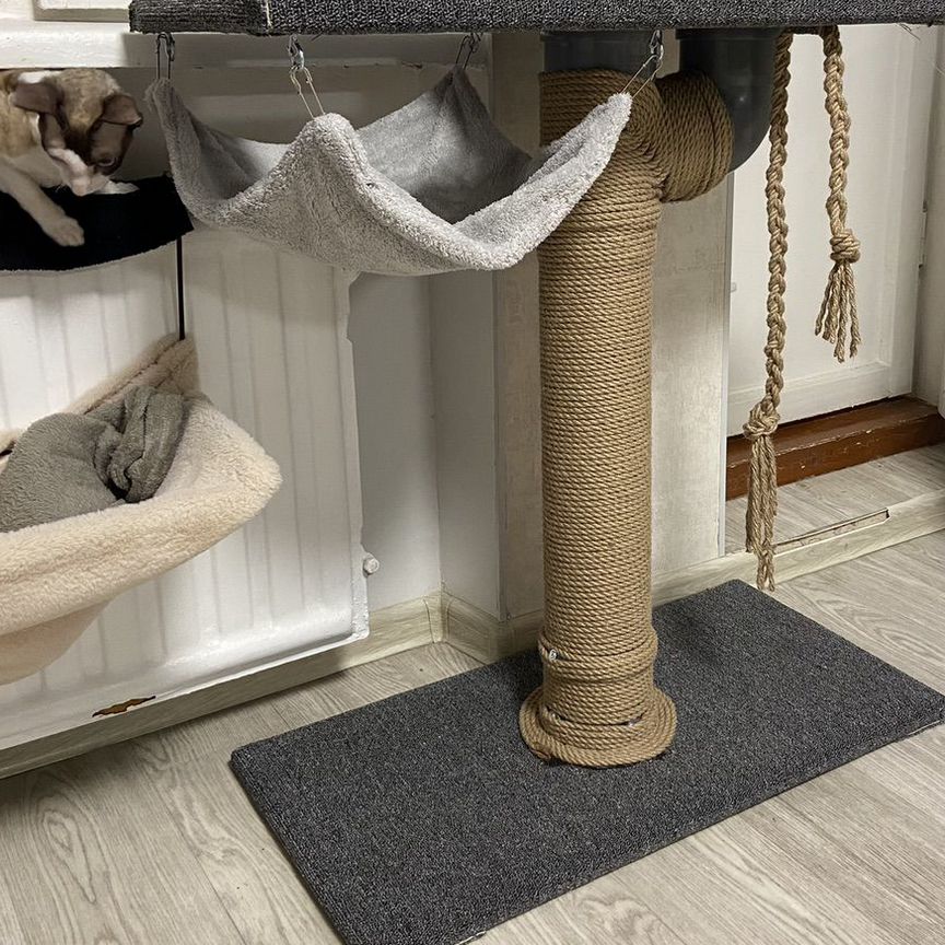 Когтеточка