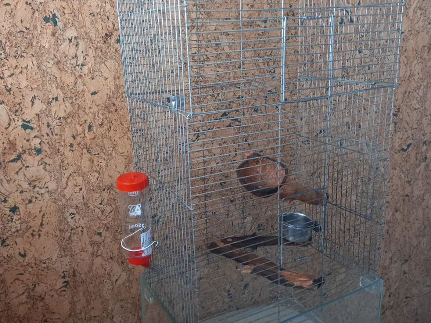 Клетка для грызунов