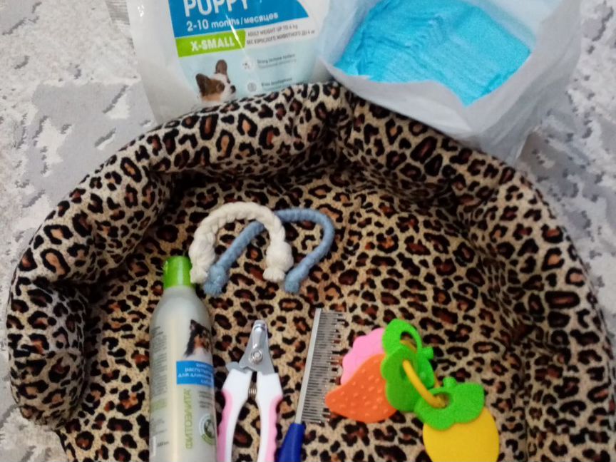 Йоркширский терьер