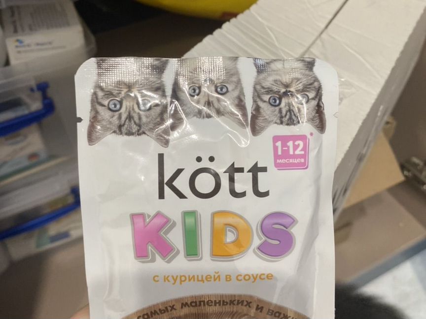 Влажный корм для кошек kott