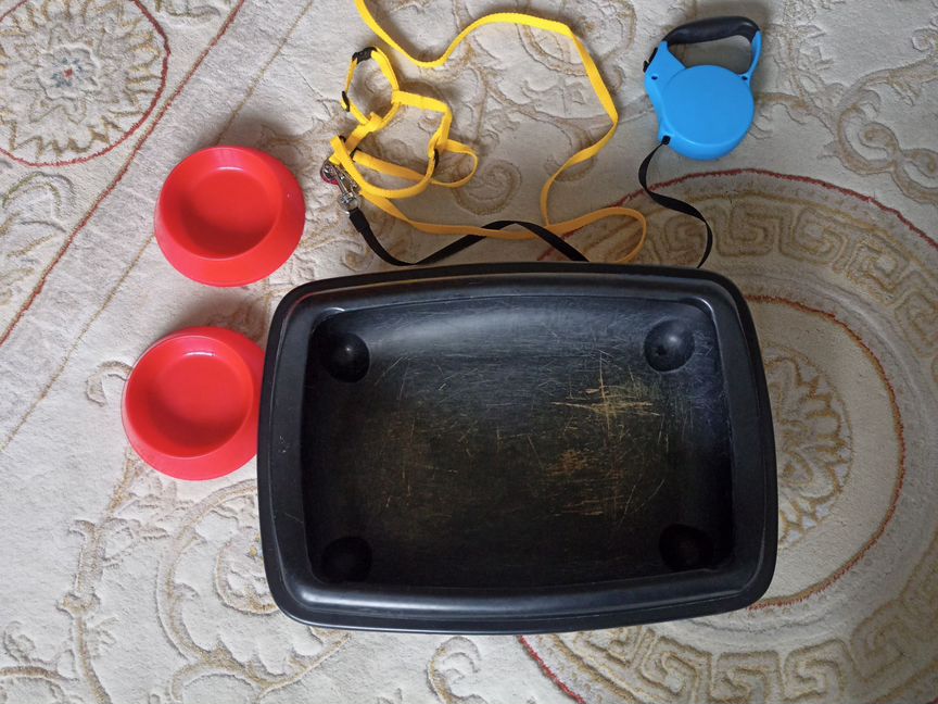 Принадлежности для кошек