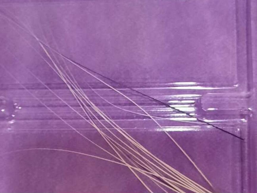 Кошачьи усы