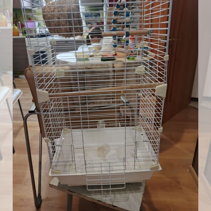 Клетка для попугая