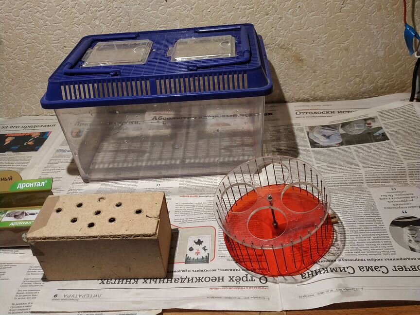 Террариум для хомяка