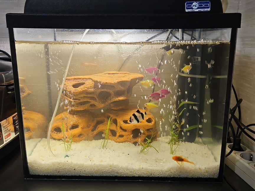 Аквариум 30 литров с рыбками (полный комплект)