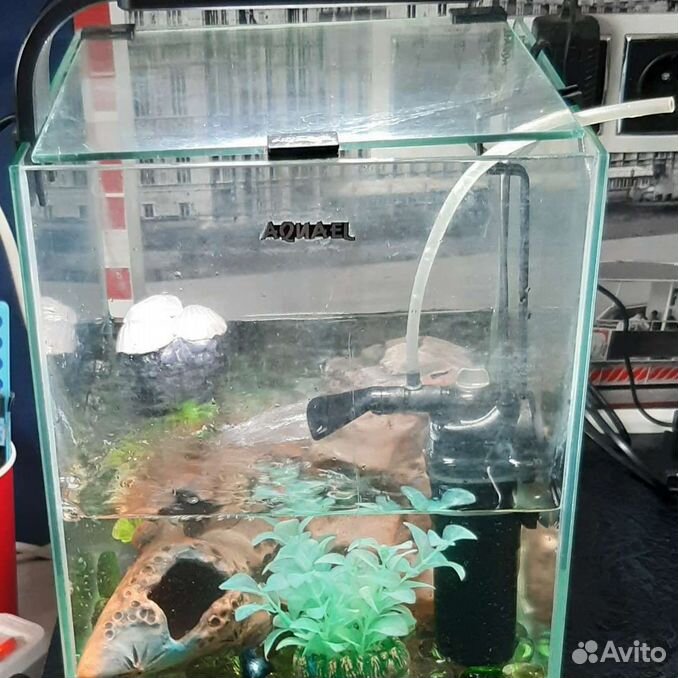 Аквариум Акваэль фильтр нагрев компрессор лампа