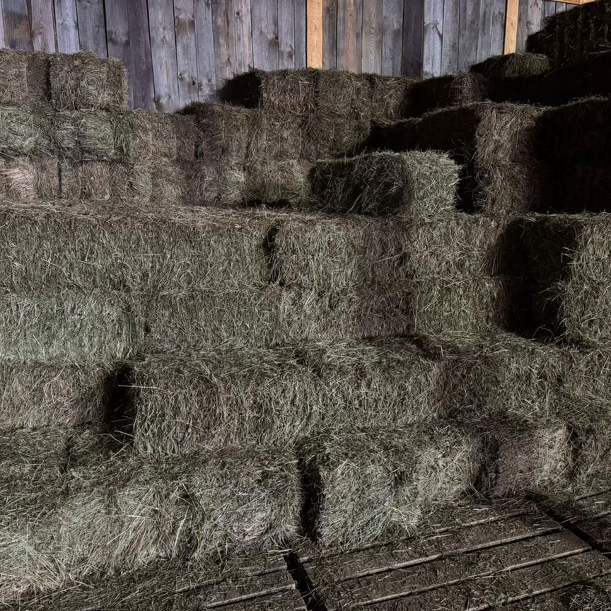 Сено в тюках