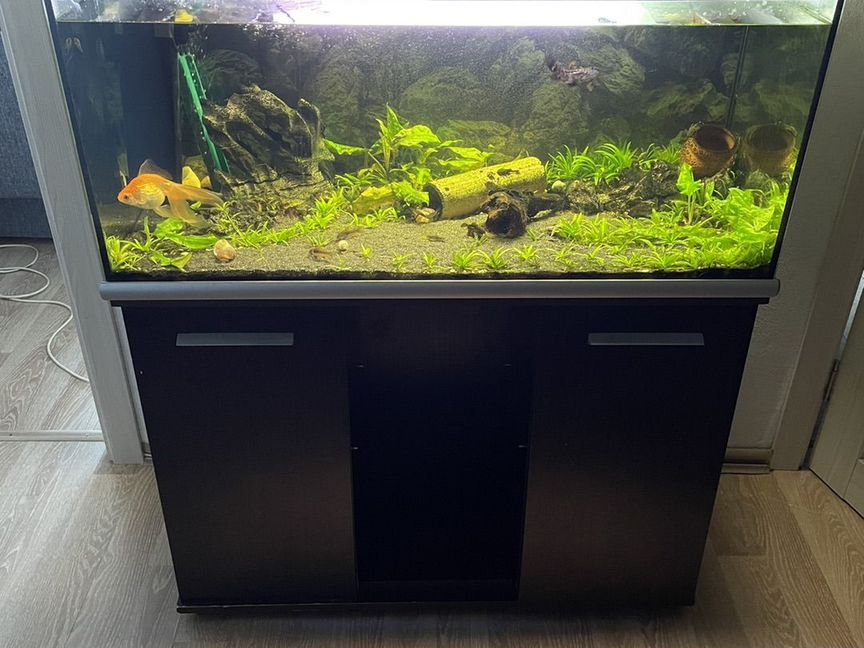 Аквариум 200 литров с тумбой