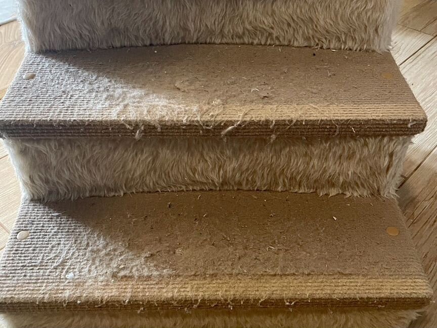 Лестница для собак ступенька