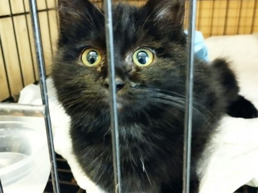 Малышу нужна помощь