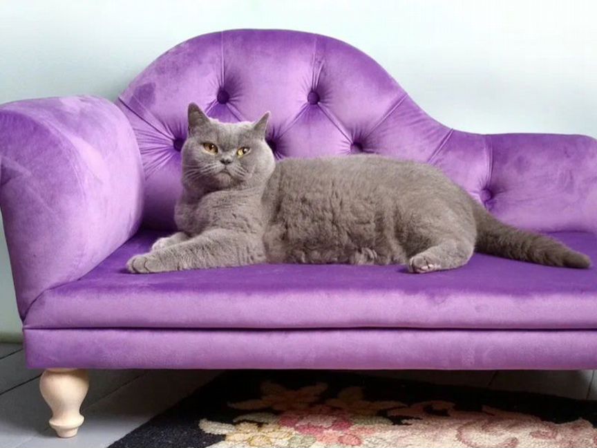 Диванчик для кошек