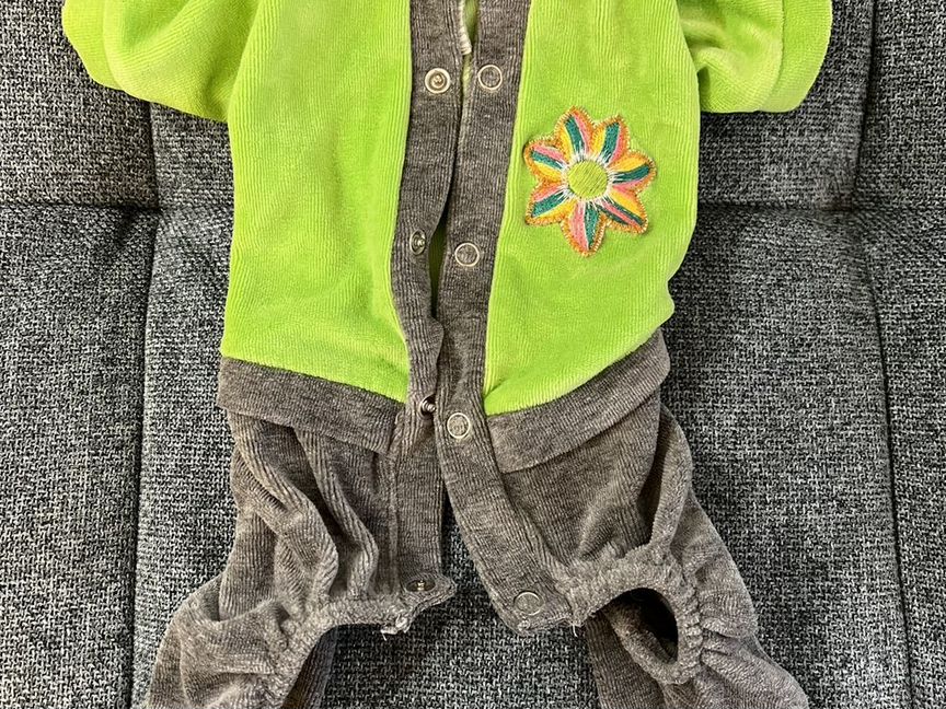 Комбензон для маленькой собачки