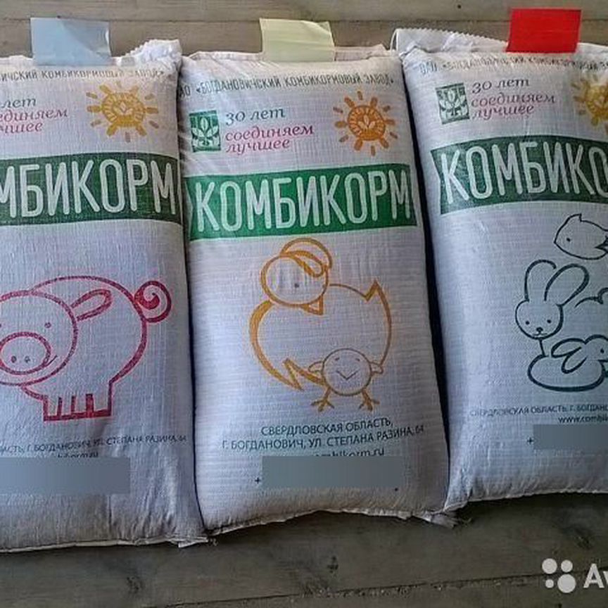 Богданович