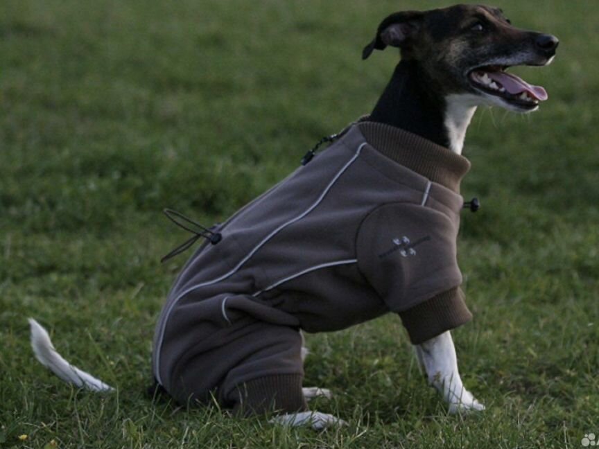 Hurtta Комбинезон водонепроницаемый из флиса