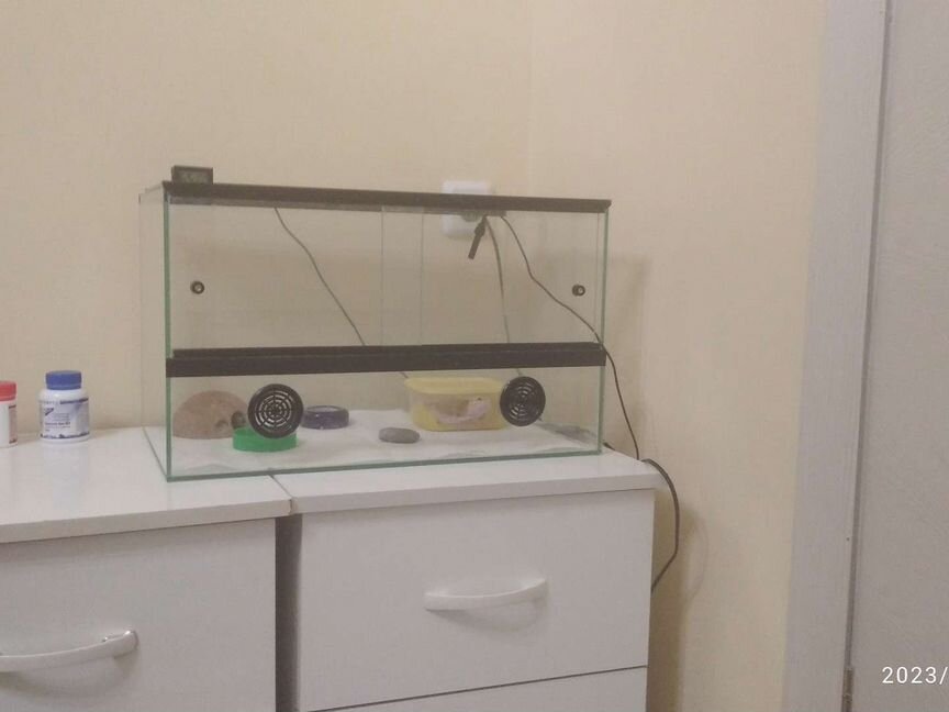 Террариум для рептилий бу